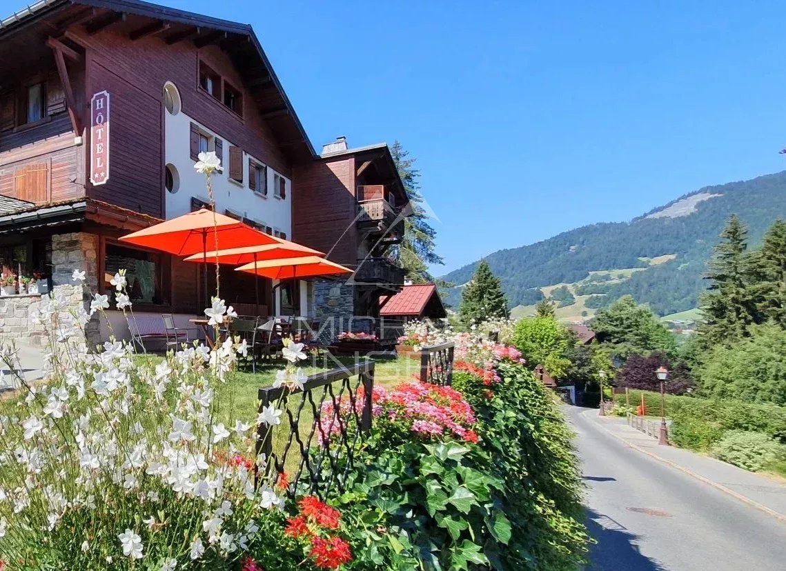 Hotel à rénover - Centre à pied - Vue dégagée et calme - MZIMG338